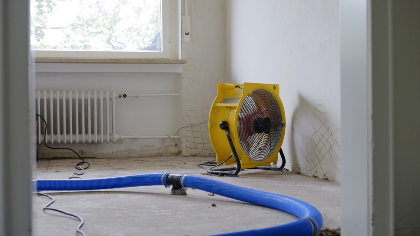 How to Use Fans and Dehumidifiers After a Flood or Water Damage ...