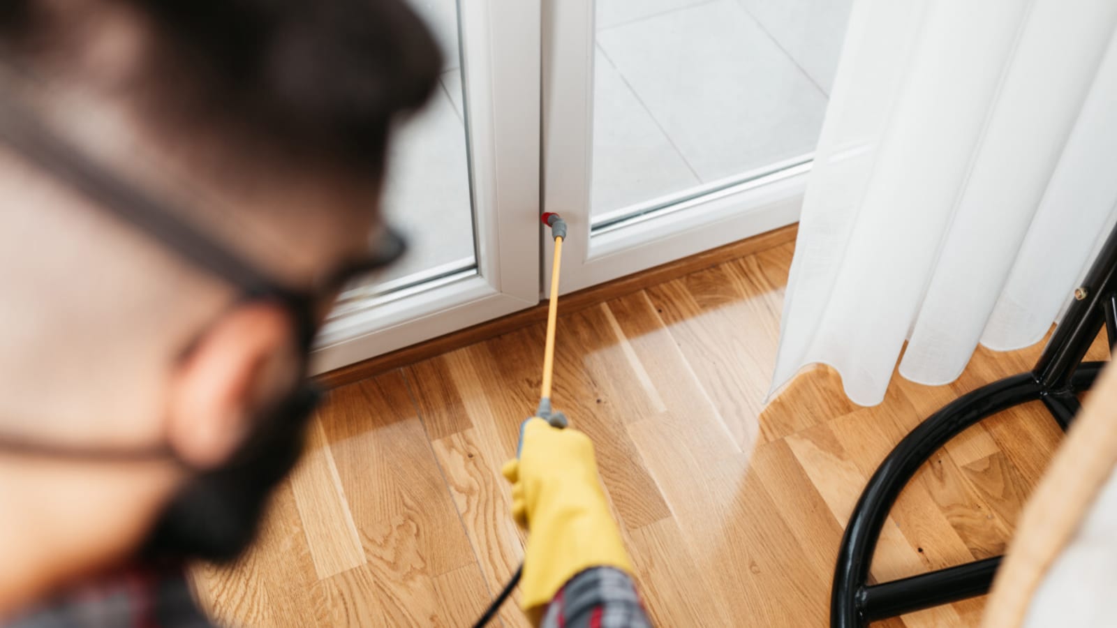 How to Control a Pest Infestation After a Hurricane | Yardbarker