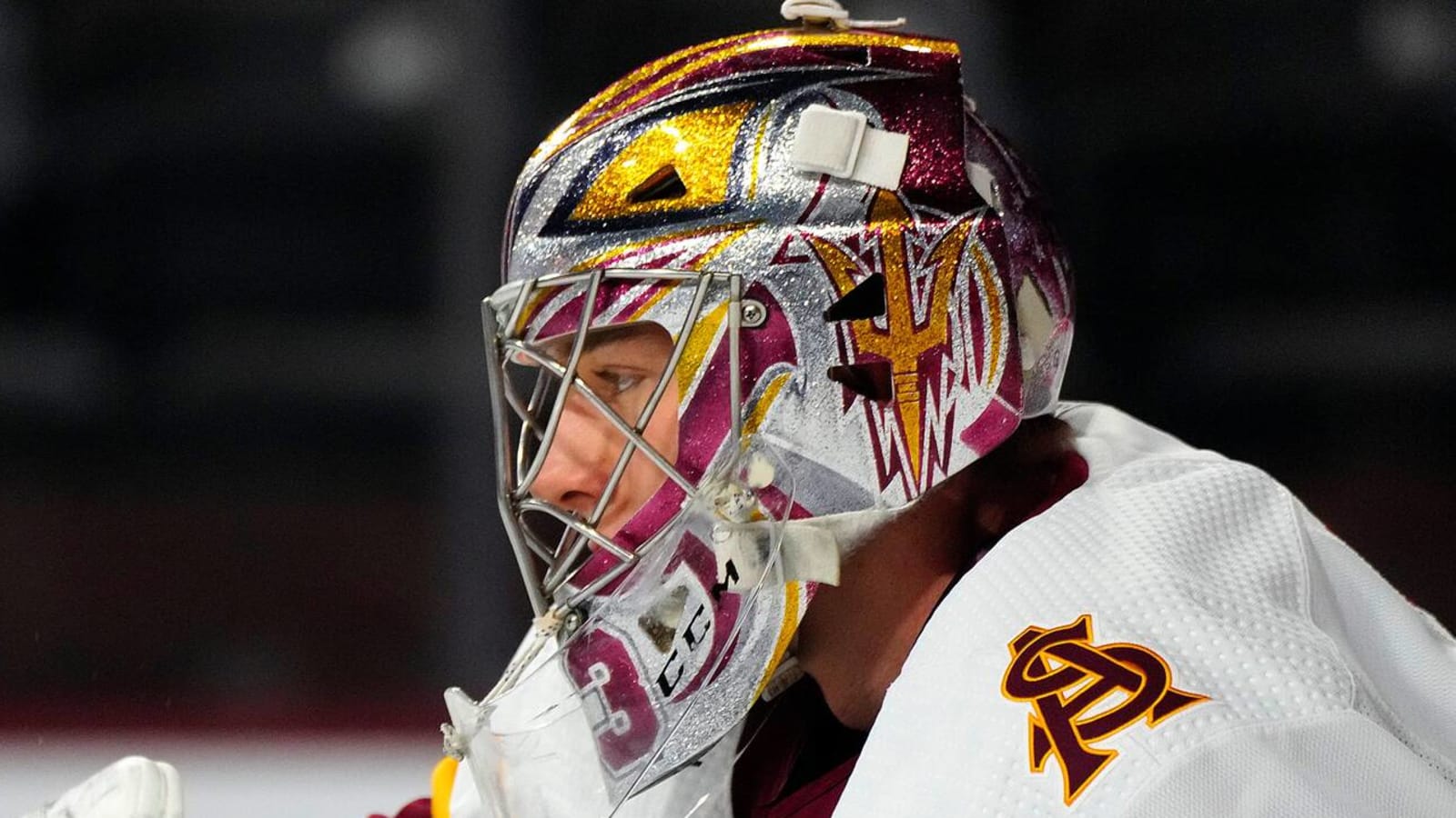 Stars to sign college goalie coming off red-hot finish | Yardbarker