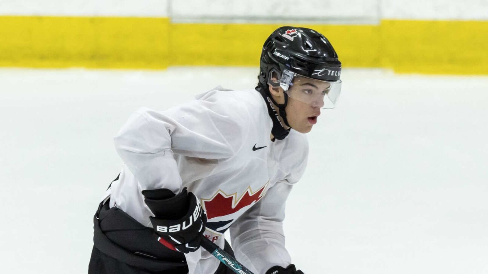 2024-25 NHL prospect pool Breakdown: Utah HC's top 10 | Yardbarker