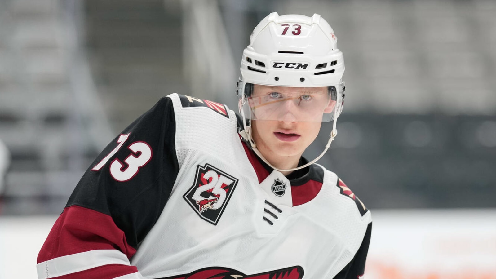 Coyotes recall forward Jan Jeník for season finale | Yardbarker