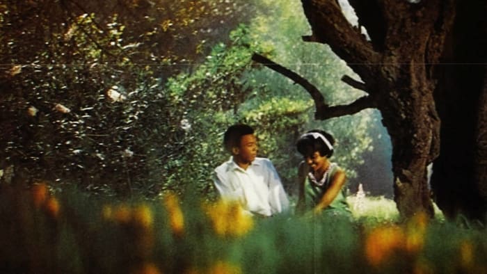 Black History Month: The greatest films by black directors that ...