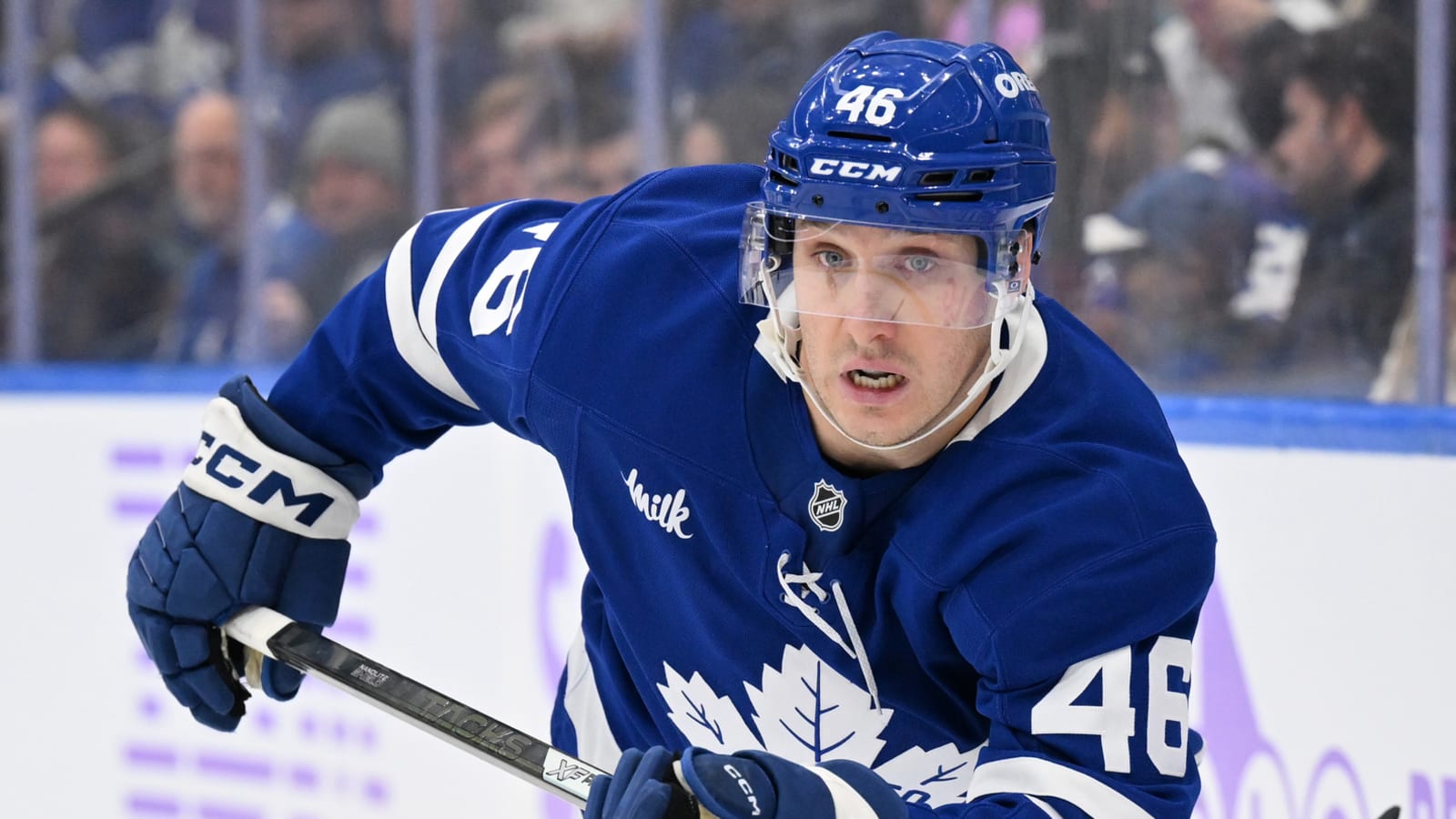Alex Steeves Sets Toronto Marlies’ All-Time Franchise Record in Goals ...