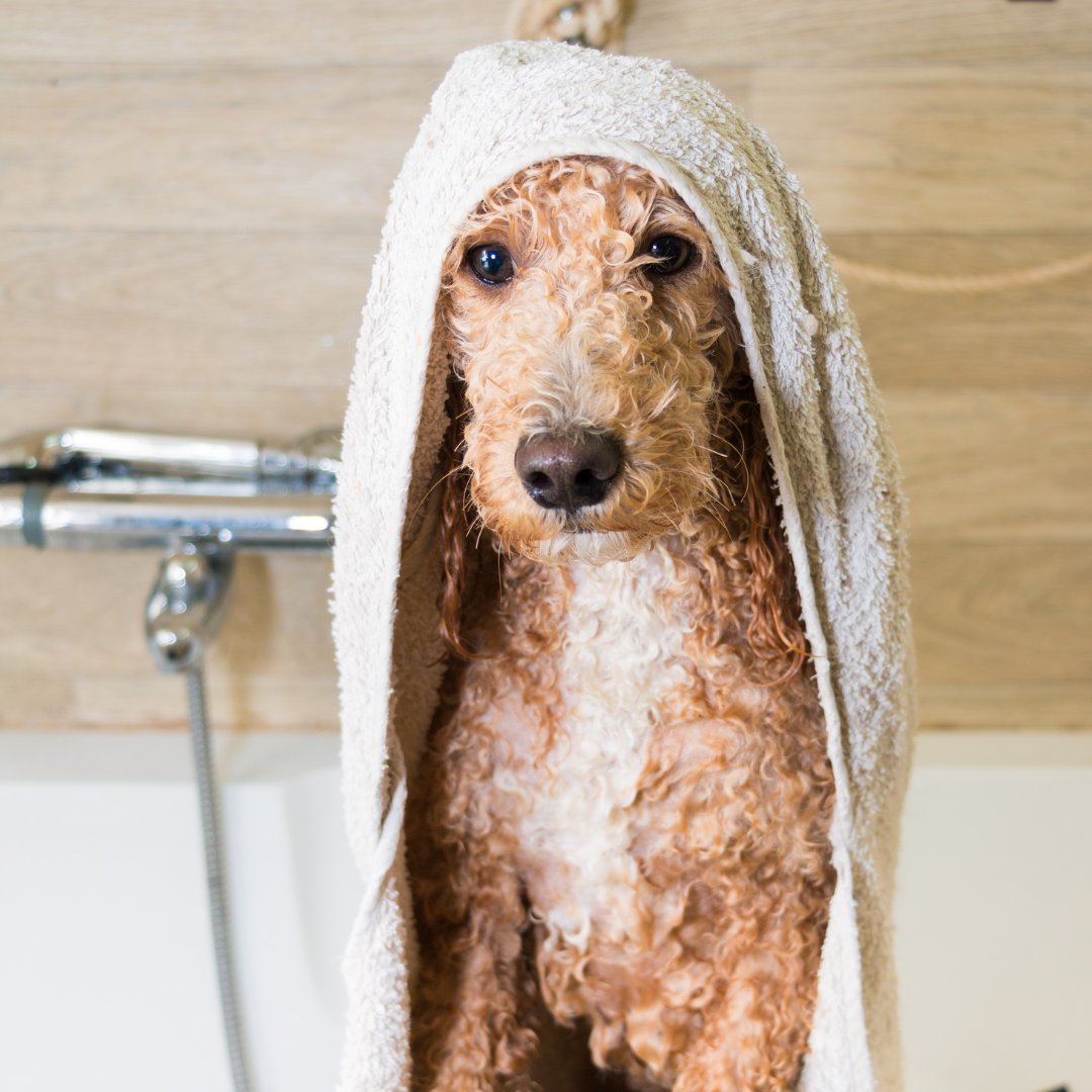 Milo | ¿Cómo Trabajamos?