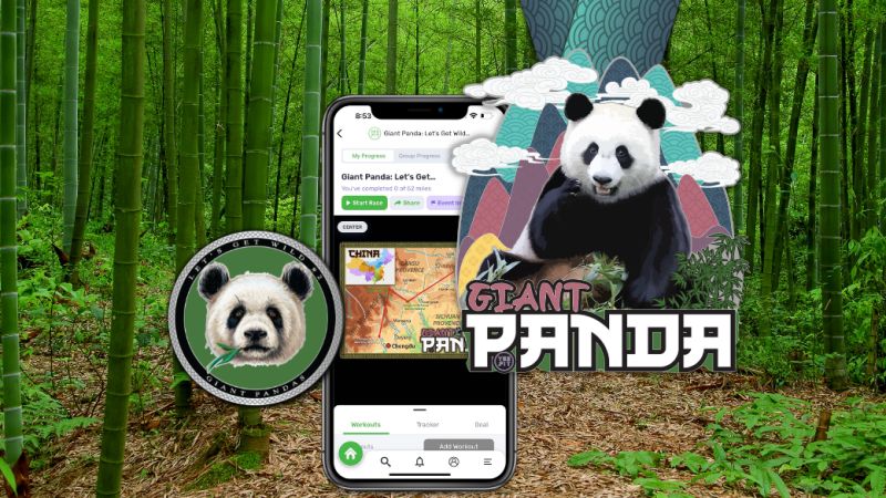 Giant Panda: Let's Get Wild #2 | Race | Yes.Fit