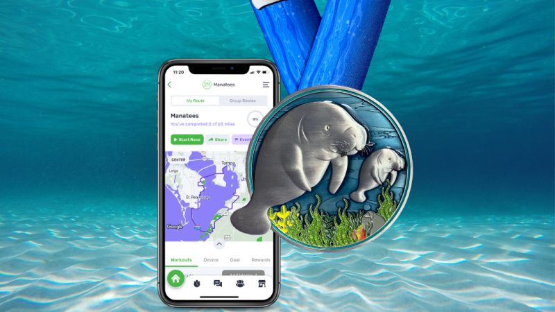 Manatees | Race | Yes.Fit