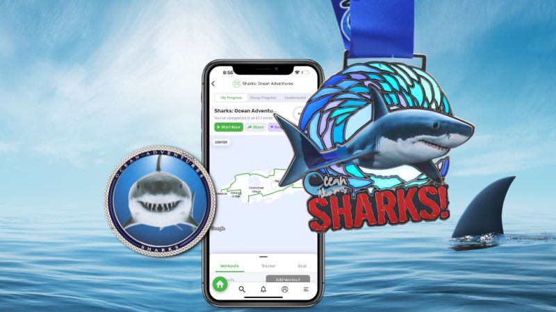 Sharks: Ocean Adventures | Race | Yes.Fit
