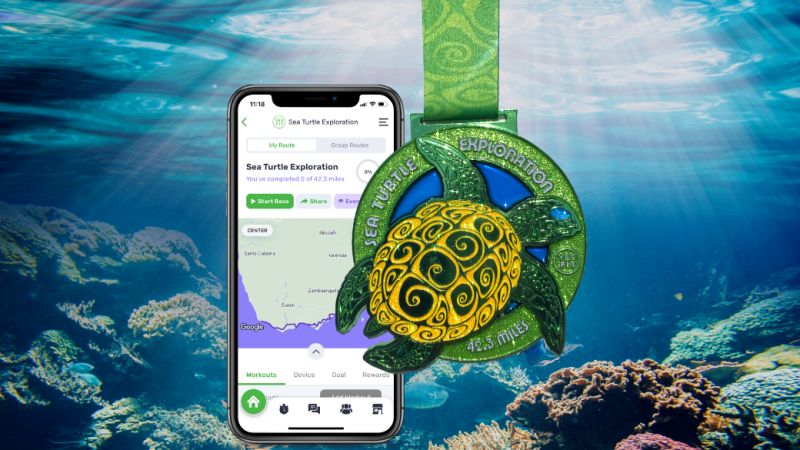 Sea Turtle Exploration | Race | Yes.Fit