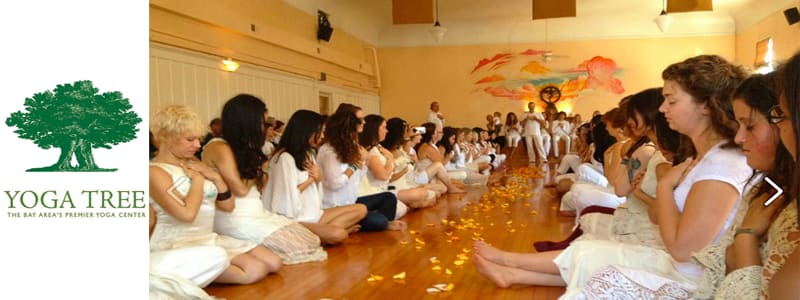 Yoga Tree Yoga Studio in San Francisco USA