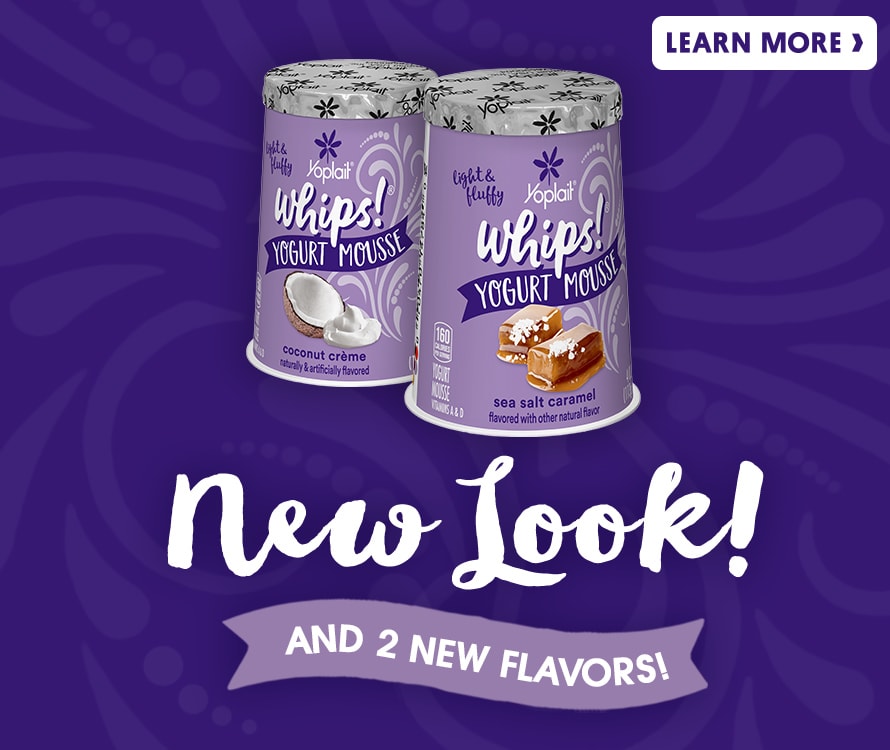 Yoplait.com – The Best Tasting Yogurt in More Than 40 Flavors