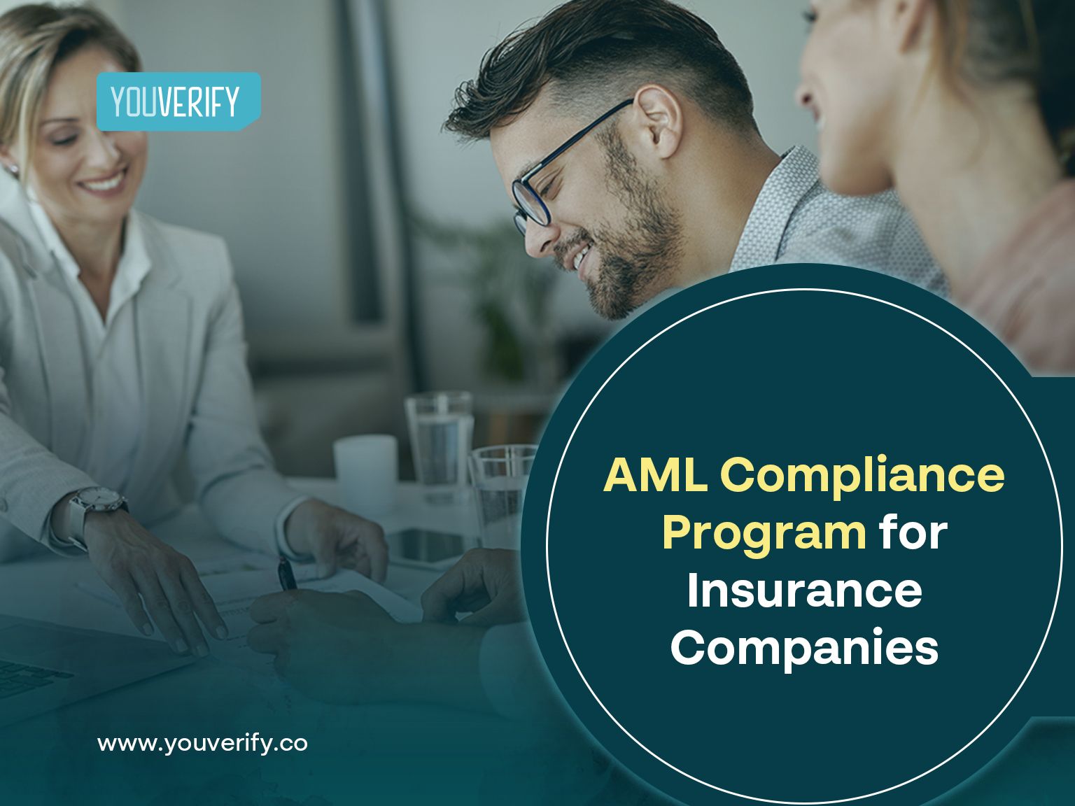 AML Compliance Program for Insurance Companies