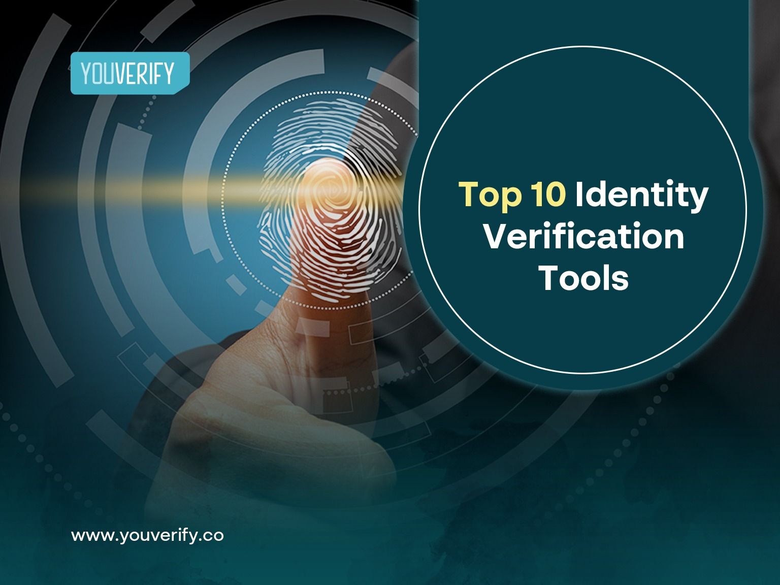 Top Identity Verification Tools for 2025
