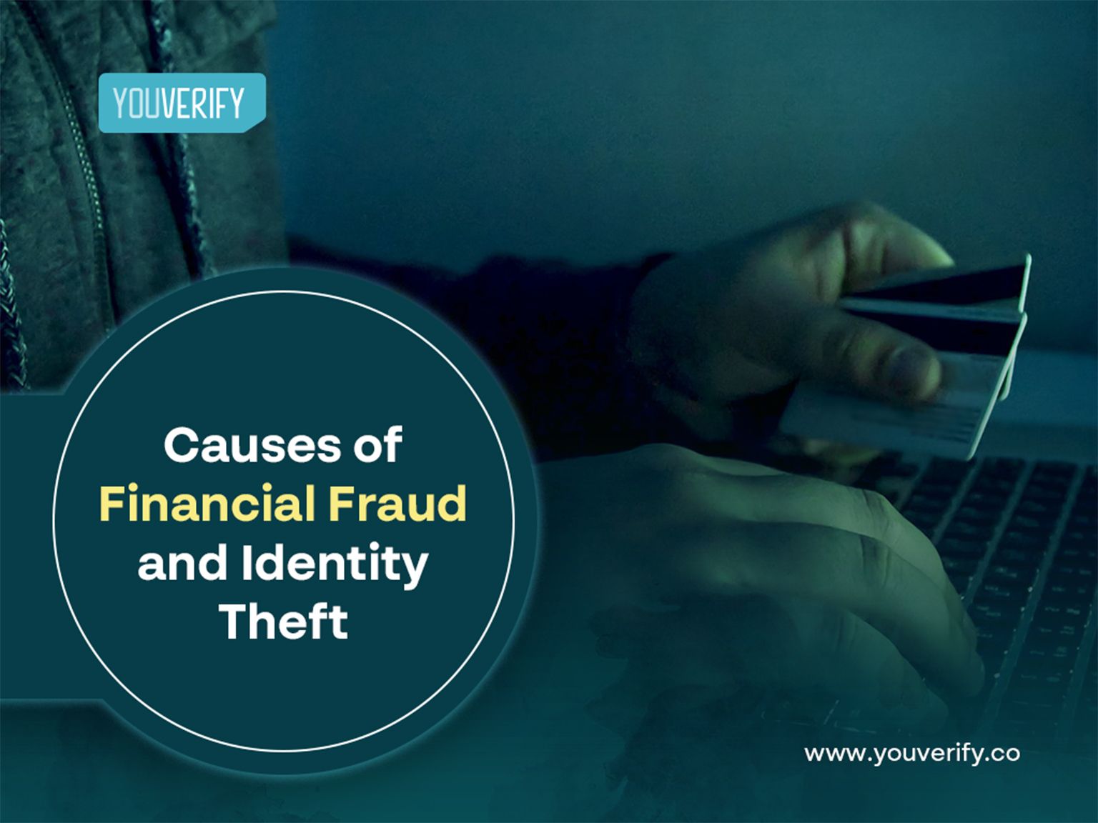 What Are The Causes of Financial Fraud and Identity Theft?