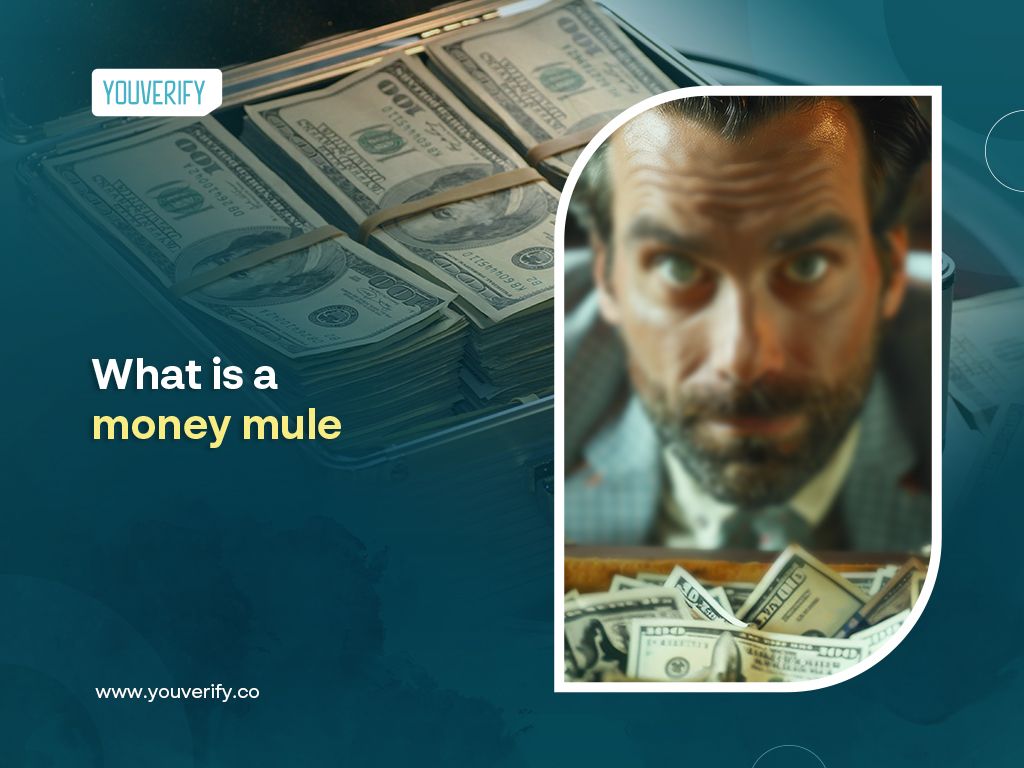 What is a Money Mule?