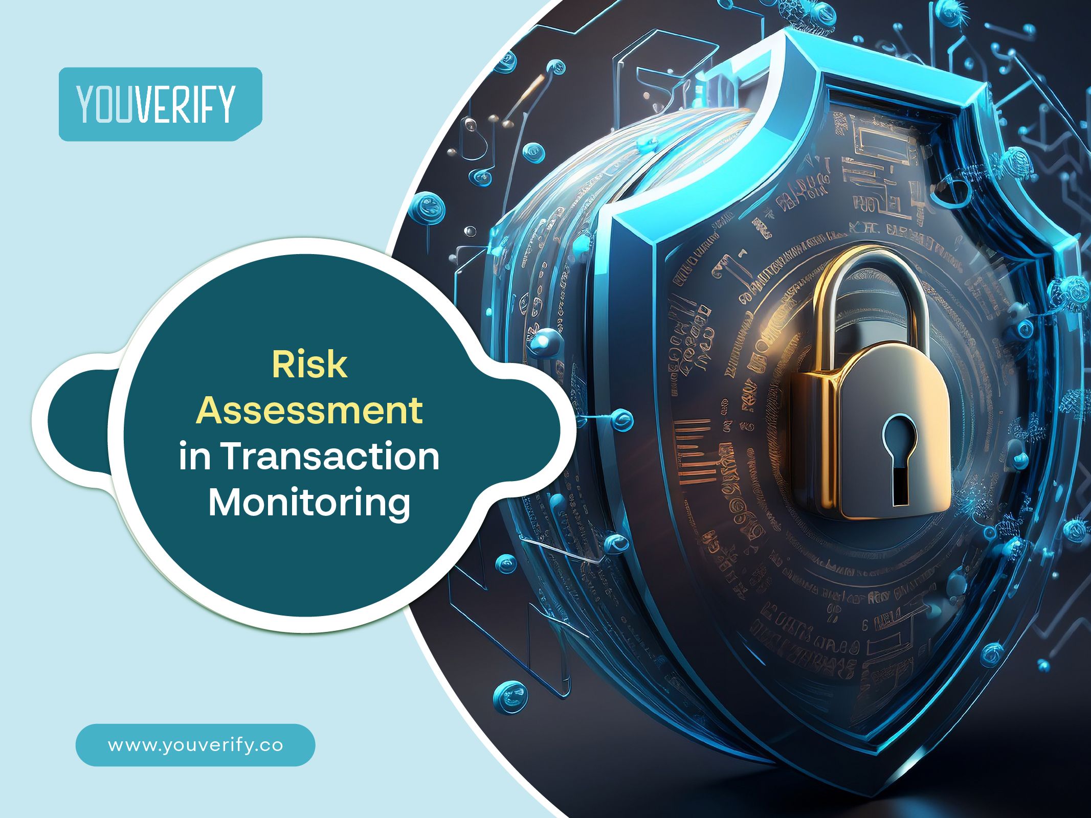 What is Risk Assessment in Transaction Monitoring