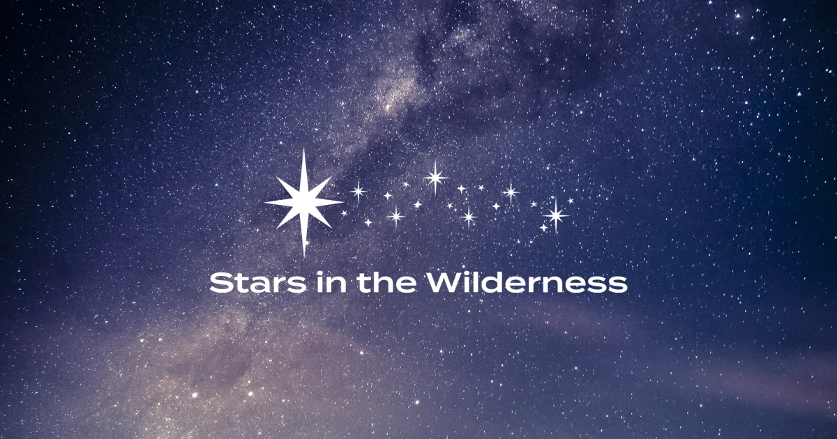 Stars in the Wilderness - Adventist Young Professionals
