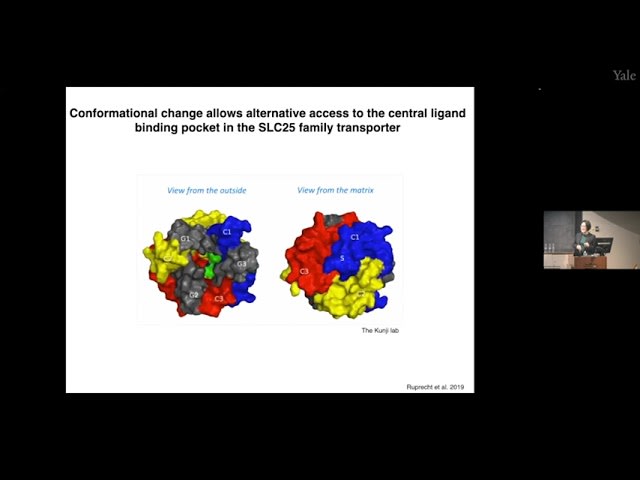 Mass Spectrometry at Yale: Mass Spec Metabolomics-Enabled Systems ...