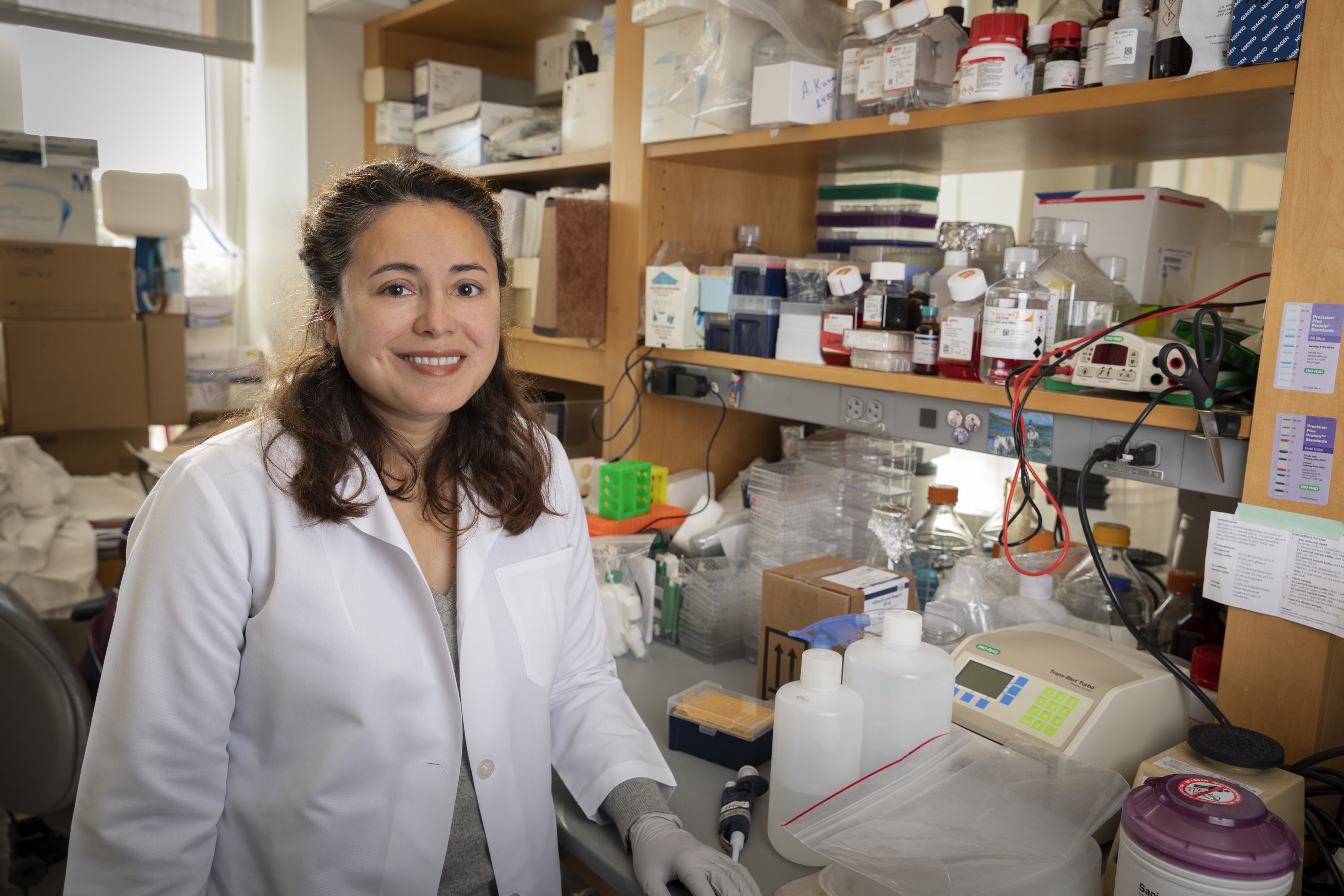 Rising Stars of Infectious Diseases: A Five-Part Series. Part Three ...