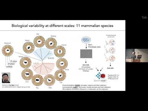 Mass Spectrometry at Yale: Data-Independent Acquisition Mass ...
