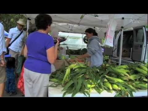 Big Food: Health, Culture and the Evolution of Eating