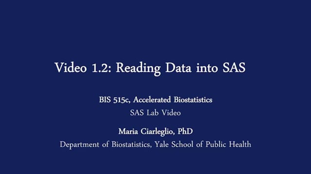 Video 2: Reading Data into SAS