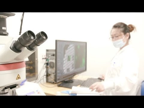 Introducing the Krios TEM Microscope