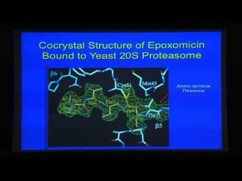 March 27, 2012: Craig M. Crews, PhD