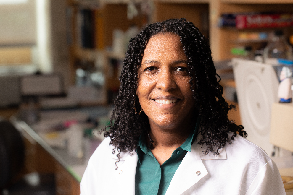 Guided by Role Models and Mentors Toward a Career as a Virologist