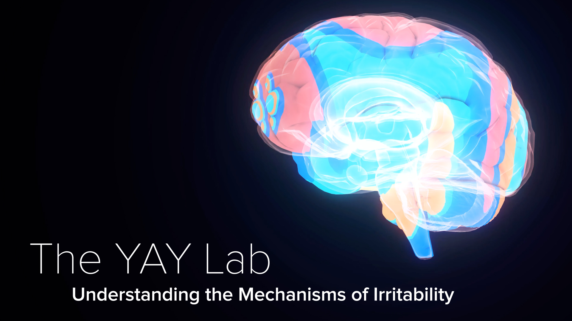fMRI, Neural Patterns & the Etiology of Irritability - the YAY Lab at ...