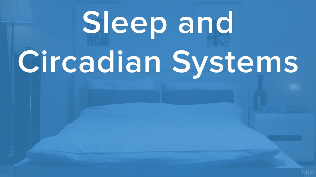 Sleep and Circadian Systems