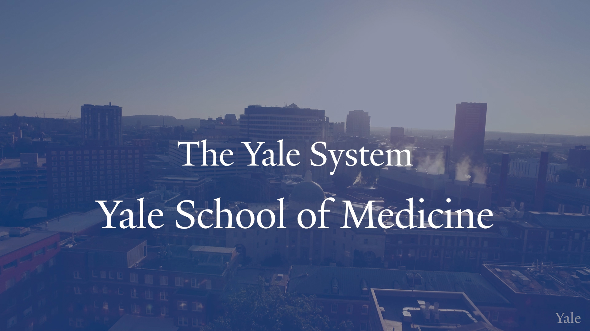 What Is The Yale System?