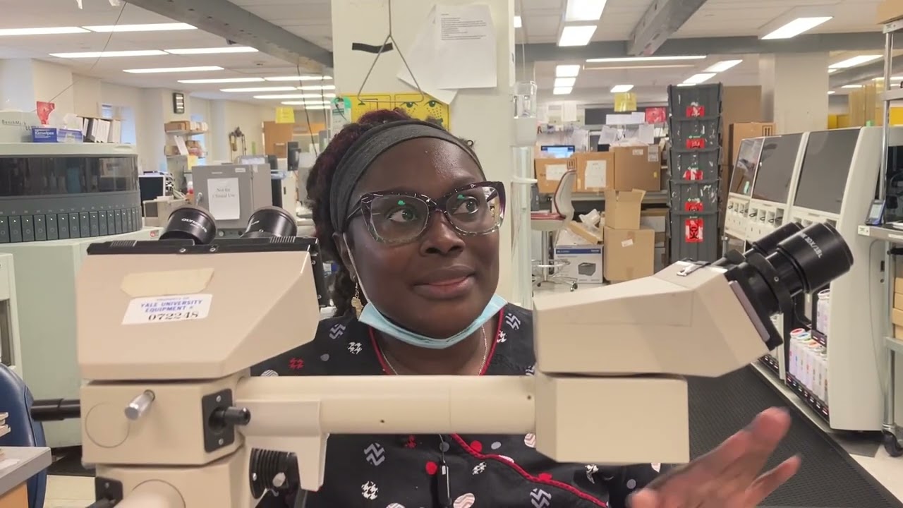 Yale Pathology & Yale Pathology Celebrate National Medical Laboratories ...