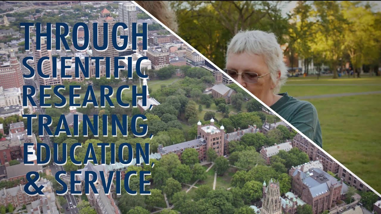 About the Yale School of Public Health
