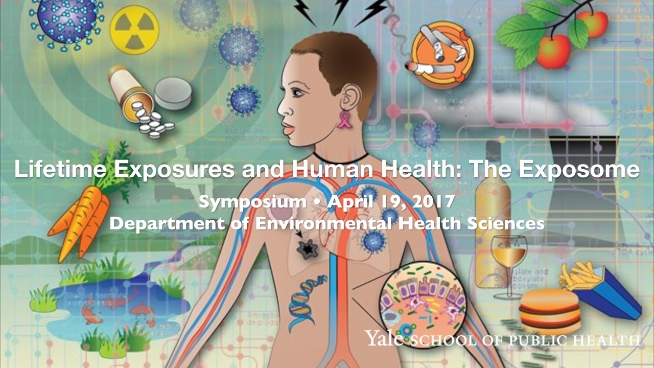 Lifetime Exposures and Human Health: The Exposome