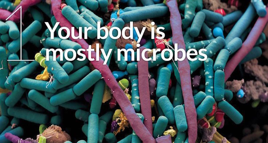 Microbiomes and the Human Body