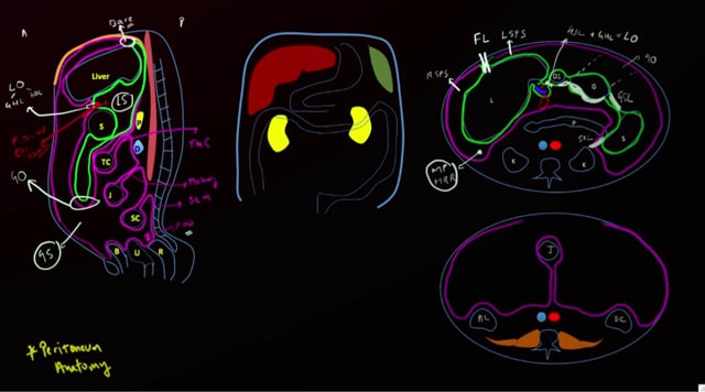 Mathur: "Imaging of Peritoneal Anatomy", June 14, 2016