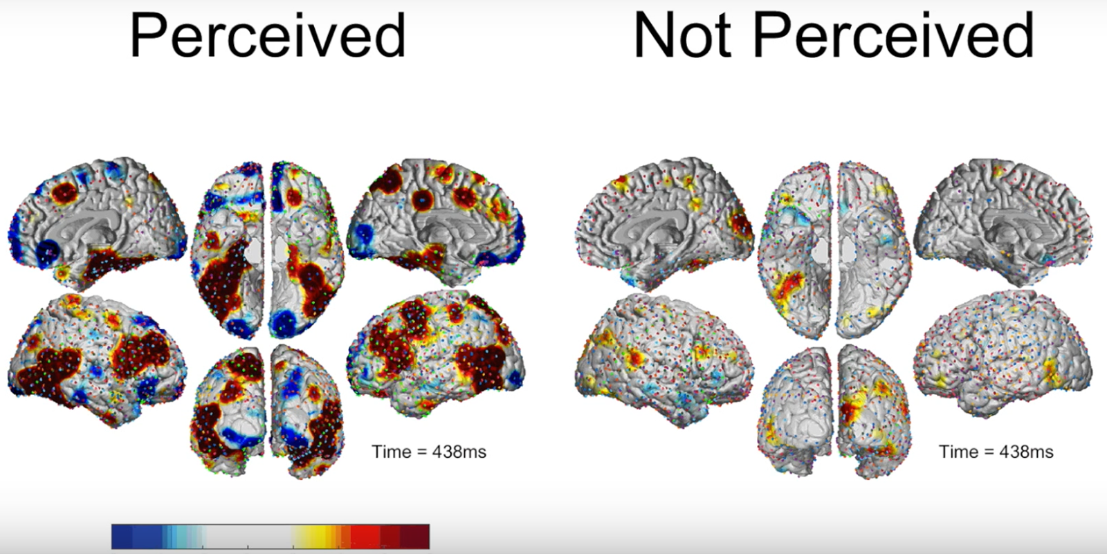 Electric wave engulfs brain at first blush of consciousness