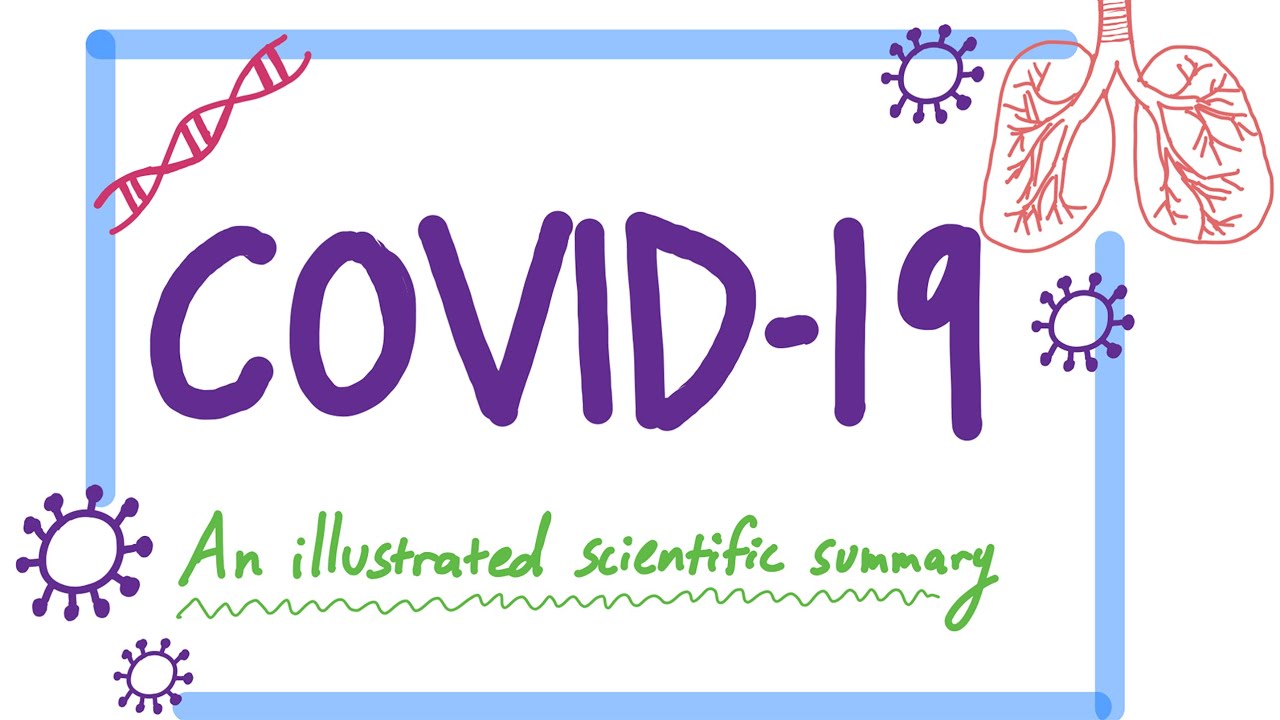 Covid-19: An Illustrated Scientific Summary