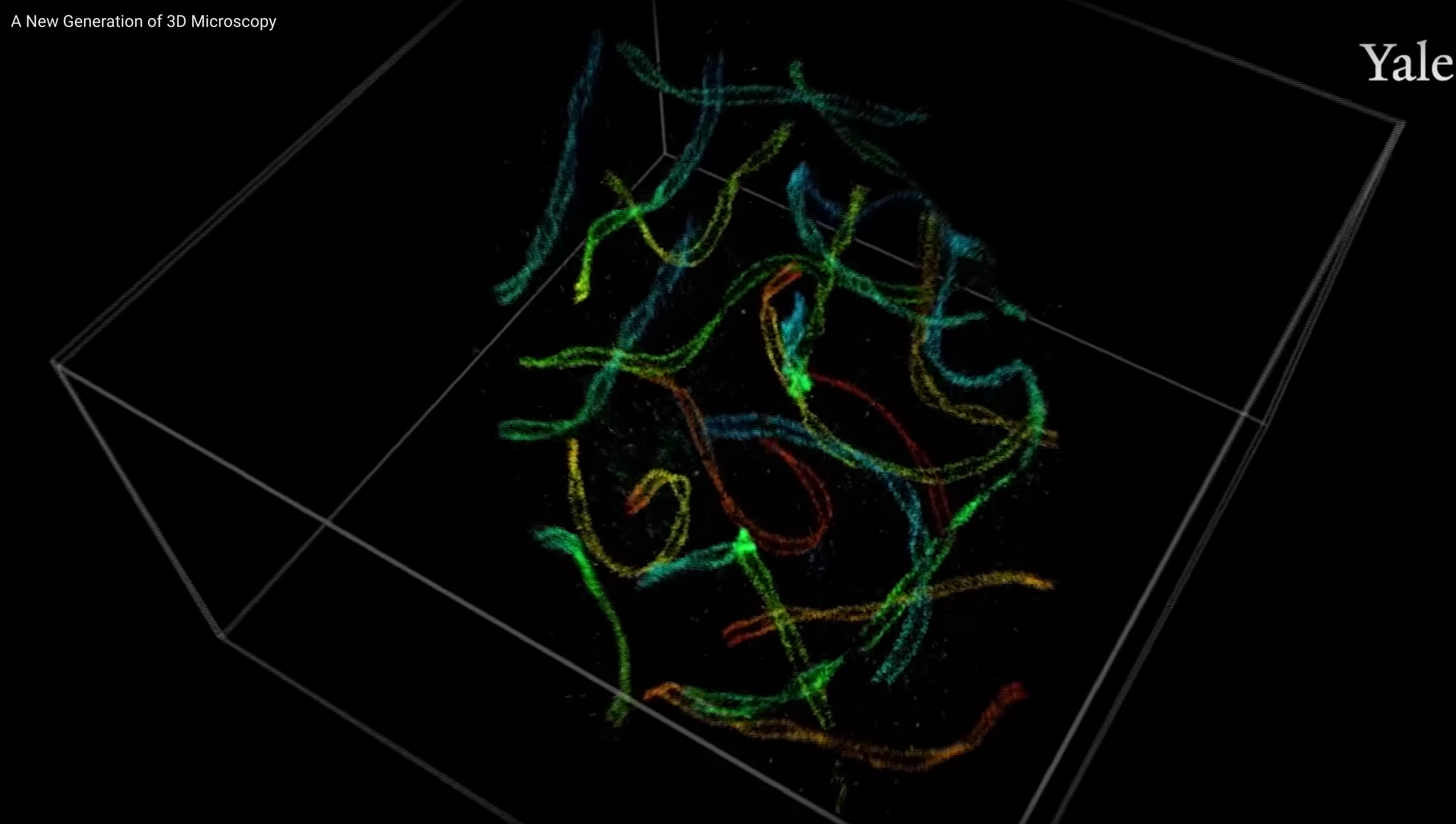 A New Generation of 3D Microscopy