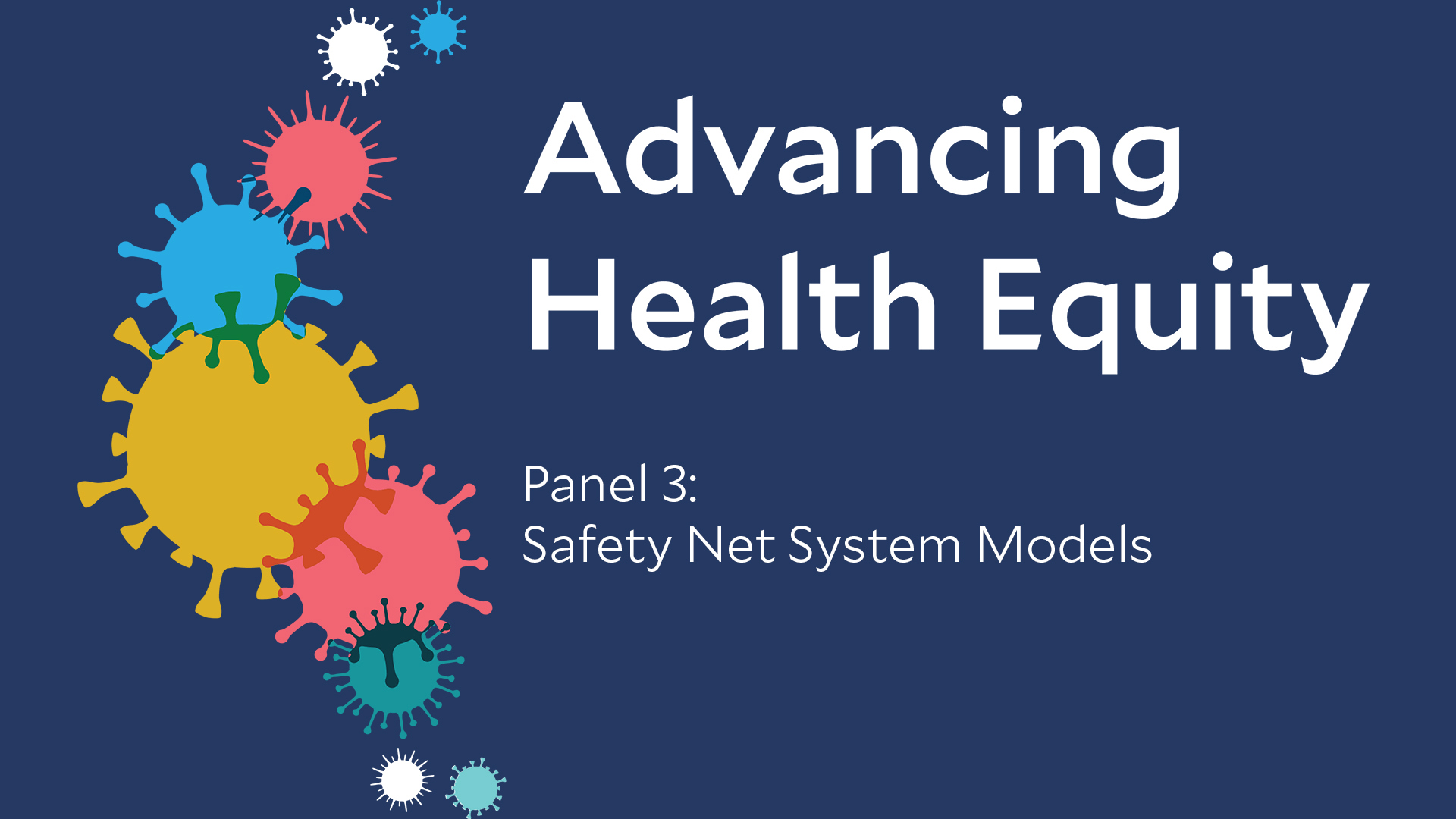 Panel 3: Safety Net System Models