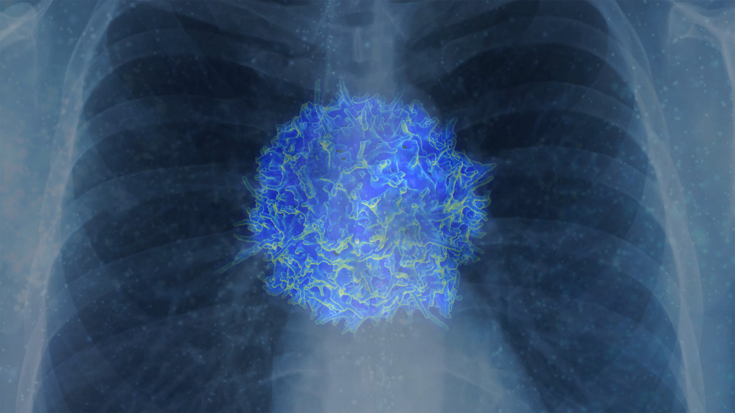 The Immune Response to COVID-19