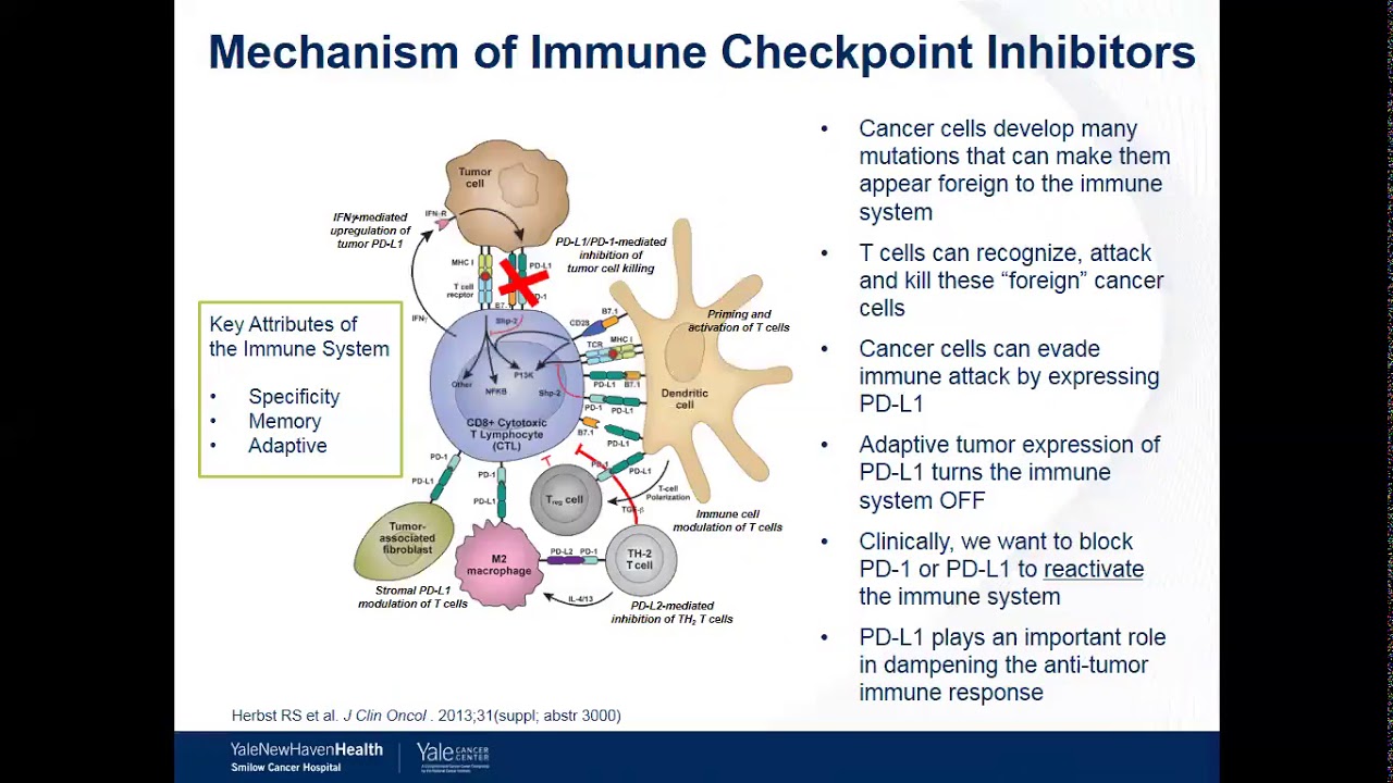 Advances in the Treatment of Metastatic Bladder Cancer