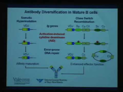 March 23, 2010: Matthew P. Strout, M.D., Ph.D.