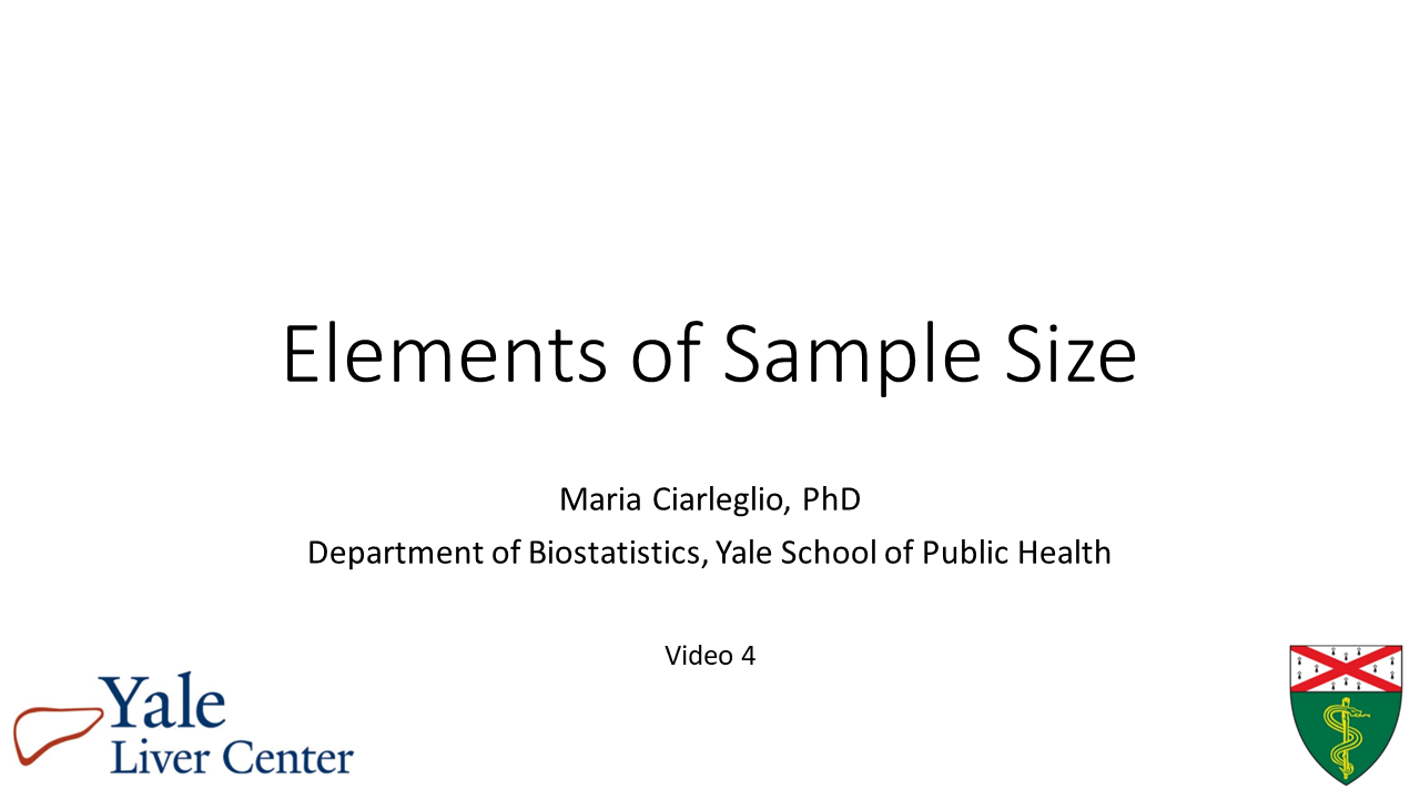 Elements of Sample Size
