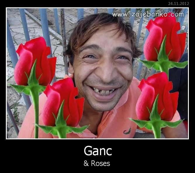 Miks smiješnih slika #2 - Zajebanko