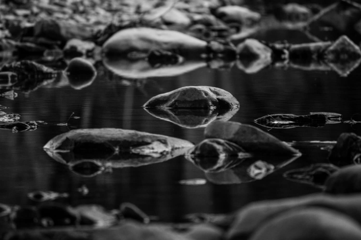 Abstract | Film | Zena Ballas | Denver Photographer