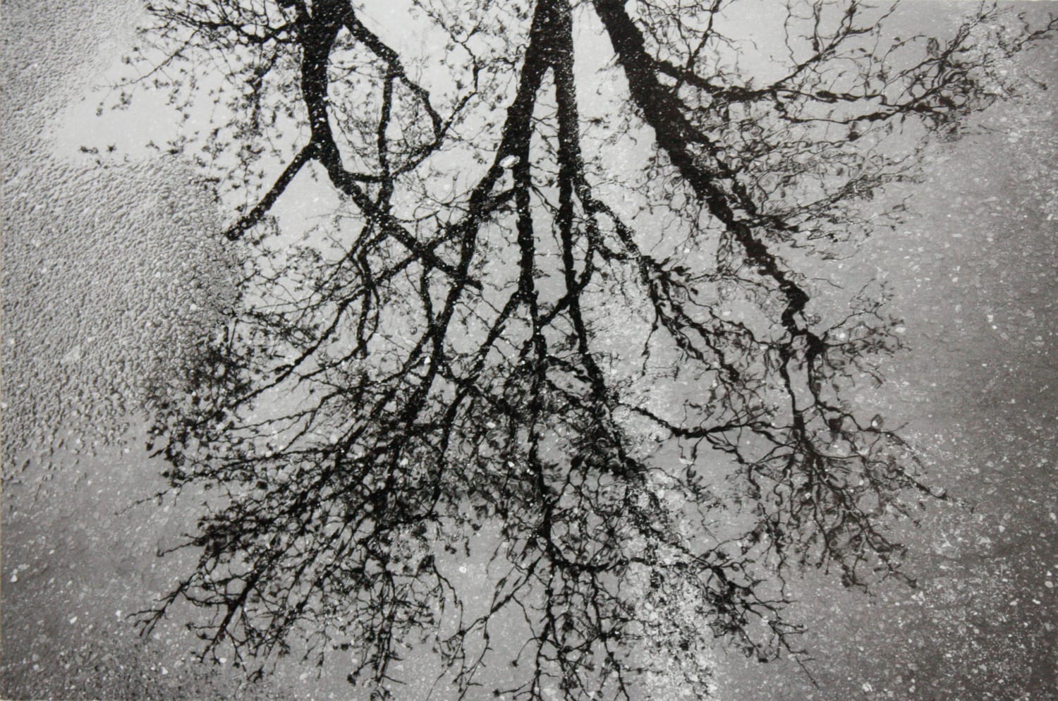 Abstract | Film | Zena Ballas | Denver Photographer