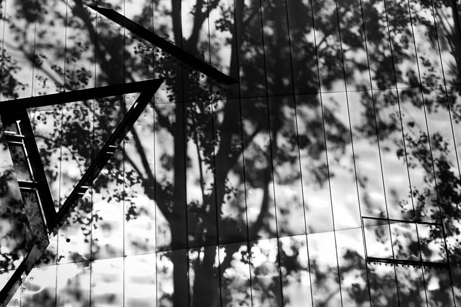 Abstract | Film | Zena Ballas | Denver Photographer