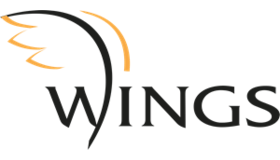 ᐈ Wings logo: 20+ examples of emblems, design tips | ZenBusiness