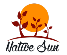 ᐈ Sun logo: 20+ examples of emblems, design tips | ZenBusiness